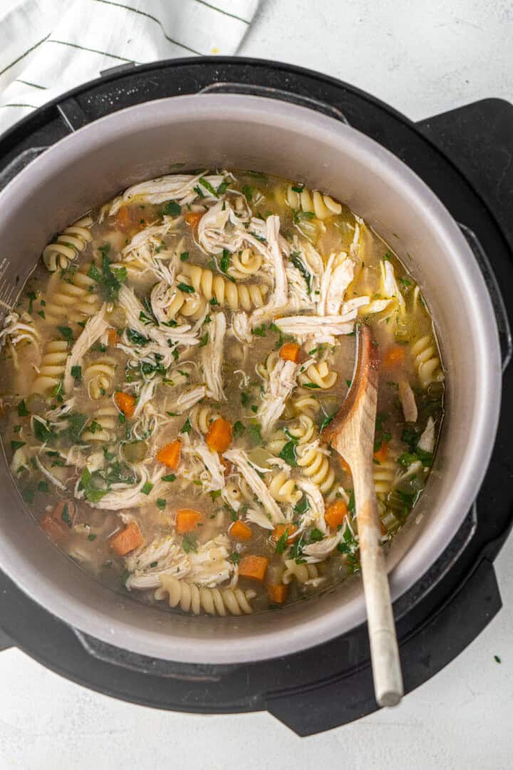Pressure Cooker Chicken Noodle Soup - Eight Forest Lane