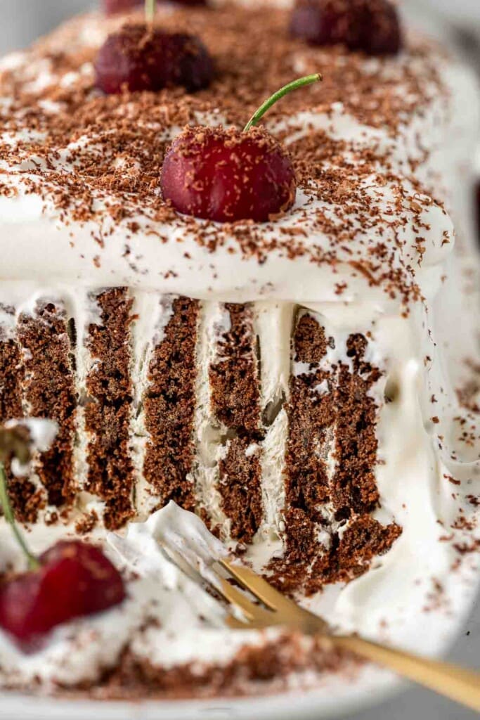 Vegan Choc Ripple Cake - Eight Forest Lane