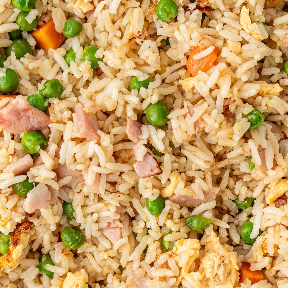 Budget-Friendly Fried Rice - Eight Forest Lane
