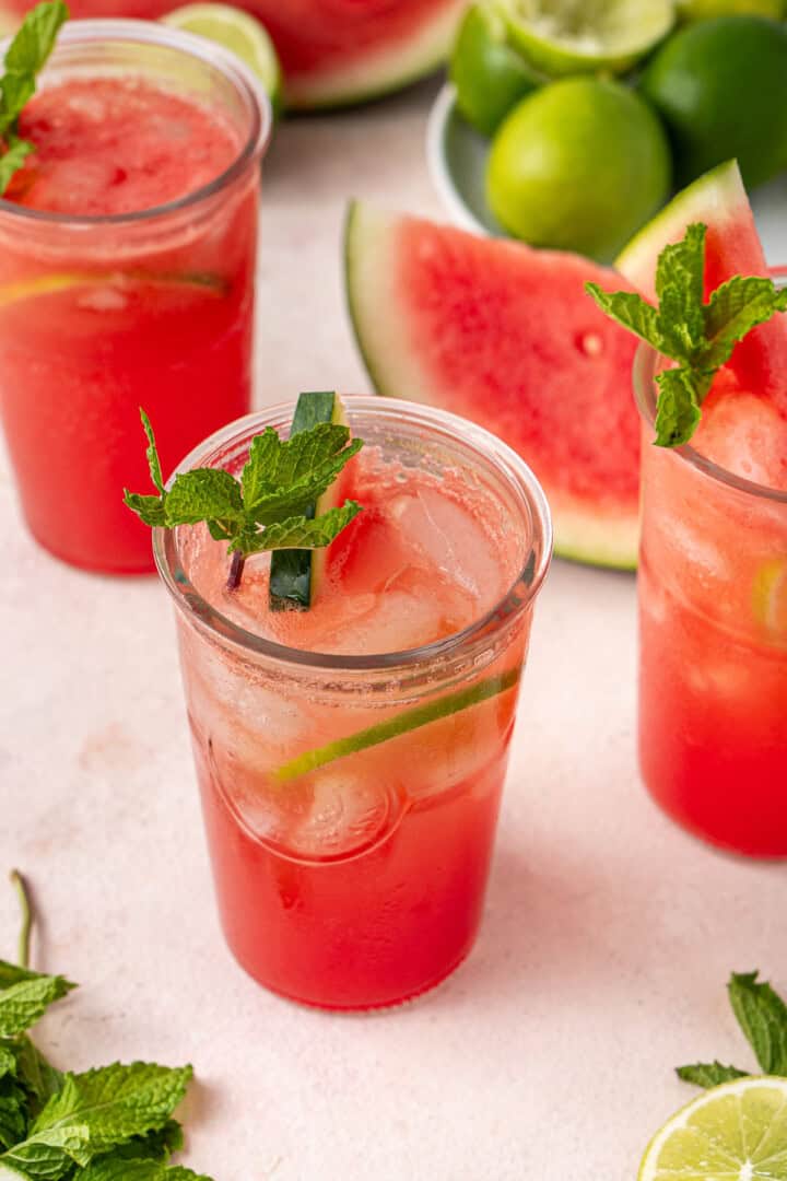 Sparkling Watermelon Lime Mocktail - Eight Forest Lane