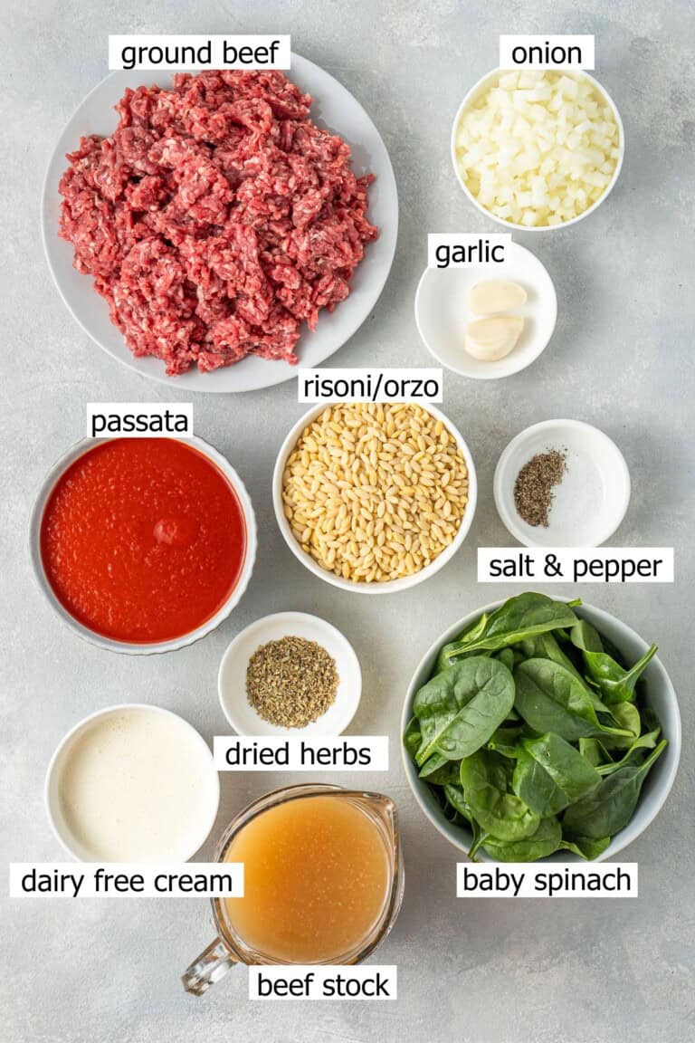 One Pot Creamy Ground Beef and Orzo (Dairy Free) - Eight Forest Lane
