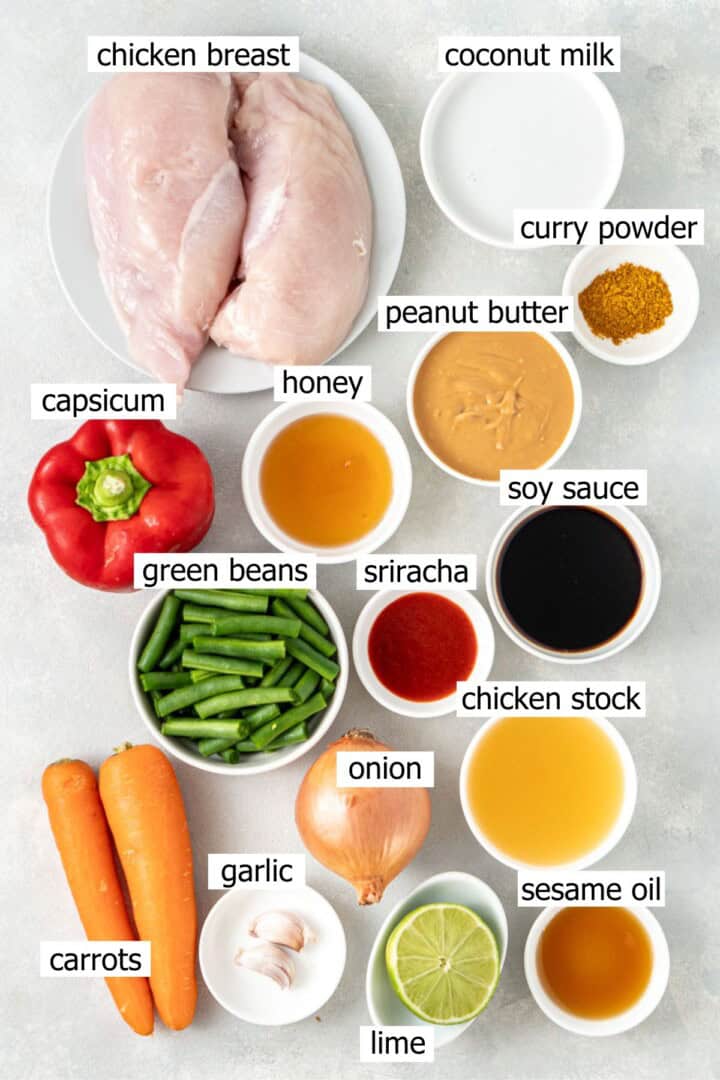 Slow Cooker Satay Chicken - Eight Forest Lane